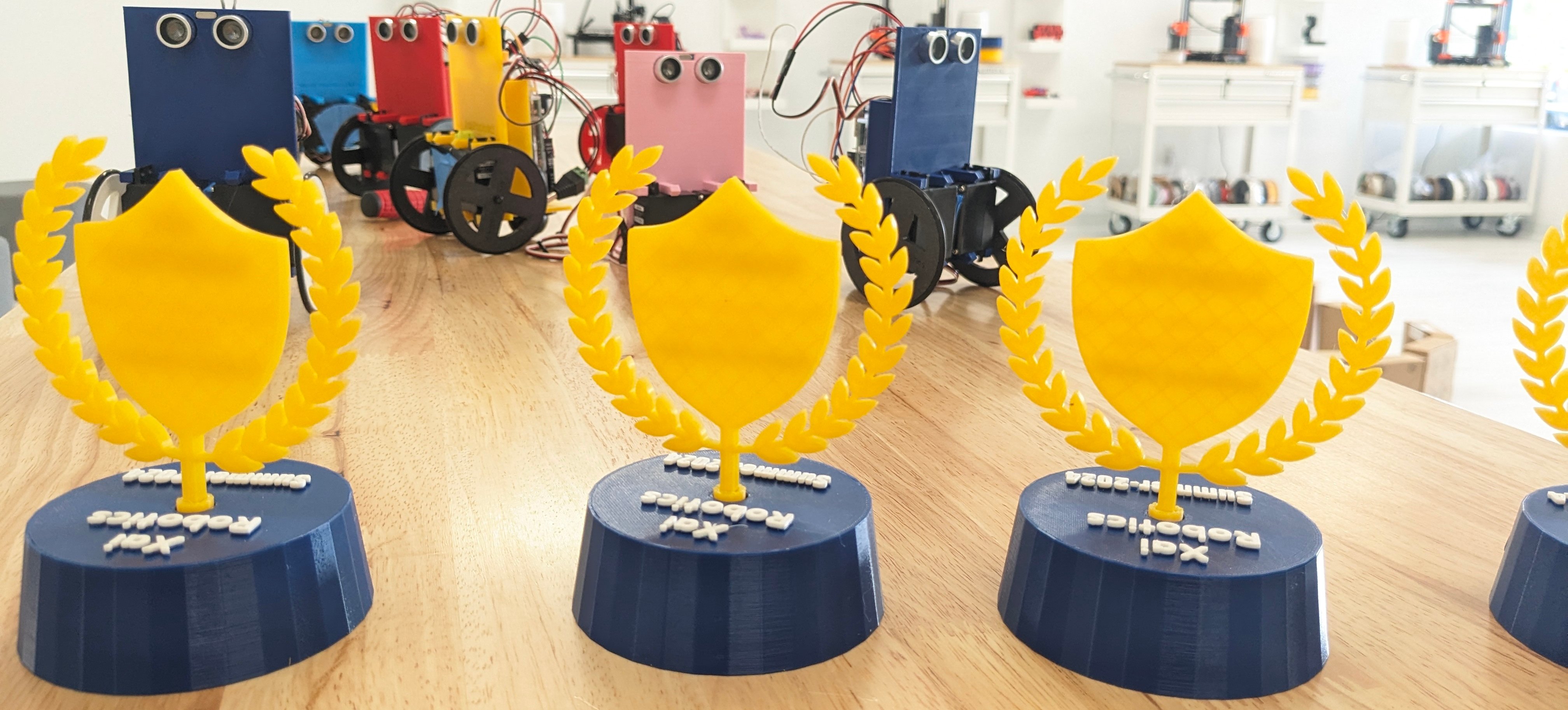 Xai Robotics Summer Camp